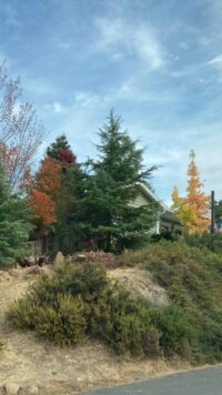 Fall Colors in Julian CA - Visit Julian, California
