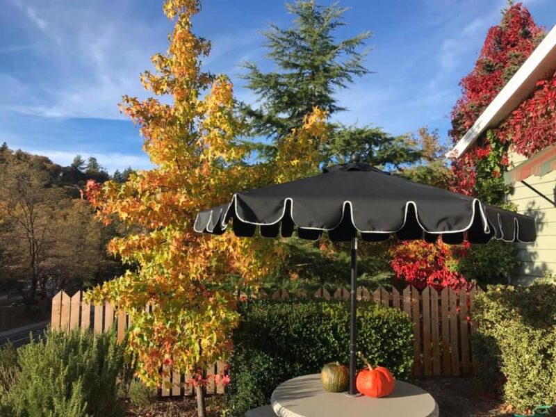 Fall Colors in Julian CA - Visit Julian, California