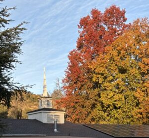 Fall Colors in Julian CA - Visit Julian, California